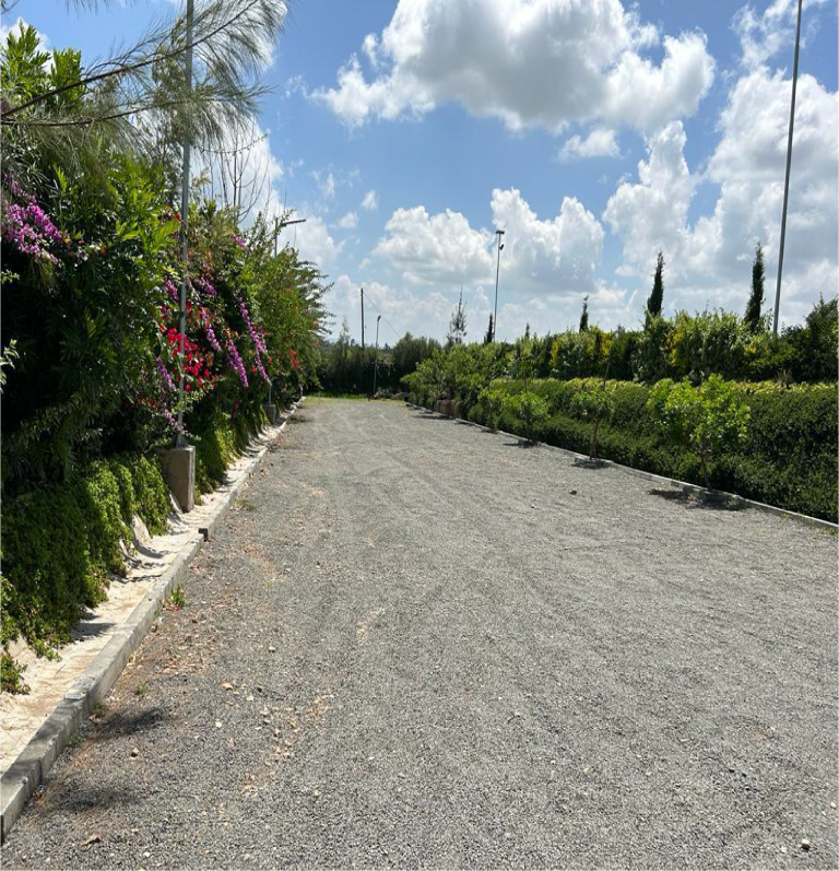 Parking | Zamar Springs